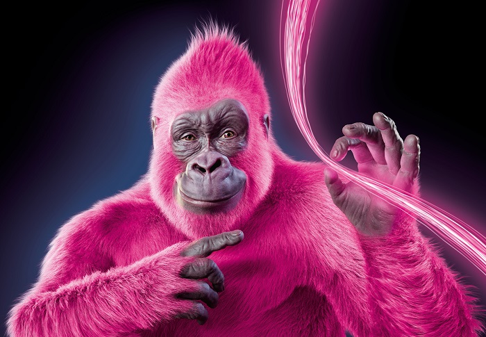 T-Mobile v kampani představuje optický internet T Fiber | MediaGuru